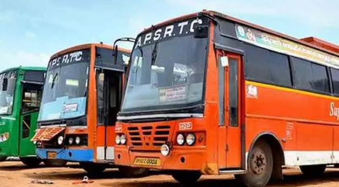 Andhra Pradesh to Expand Bus Fleet with 800 New Purchases by Year End