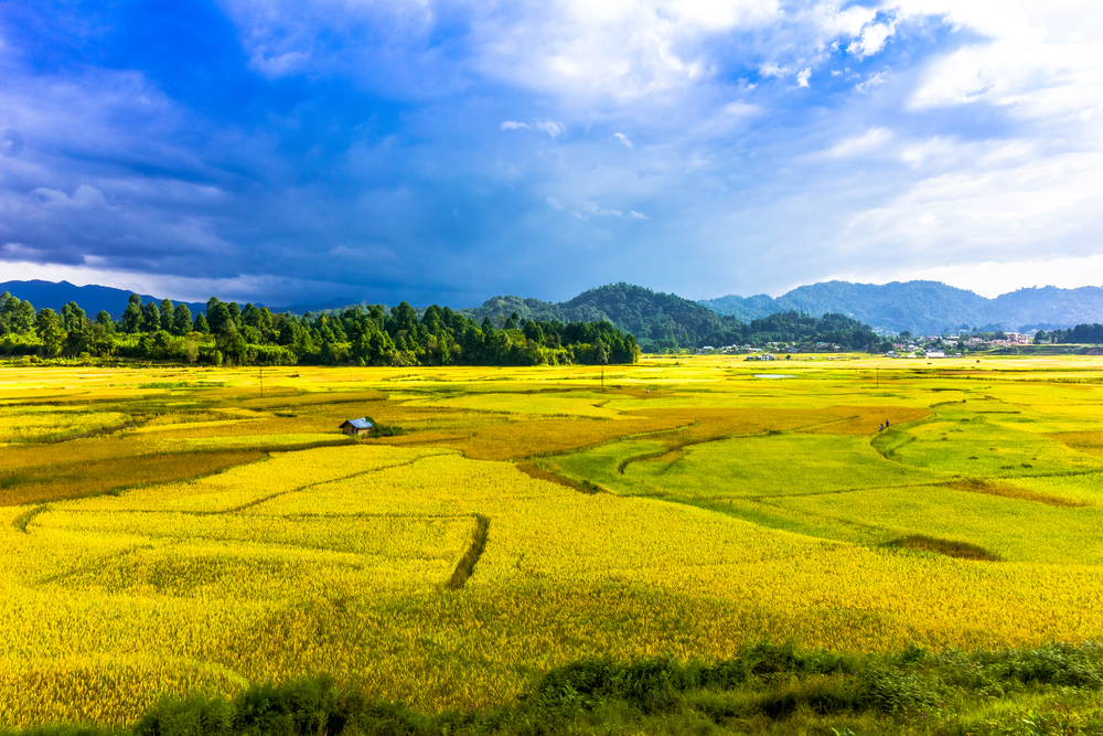 Places to Visit in September in India This 2024